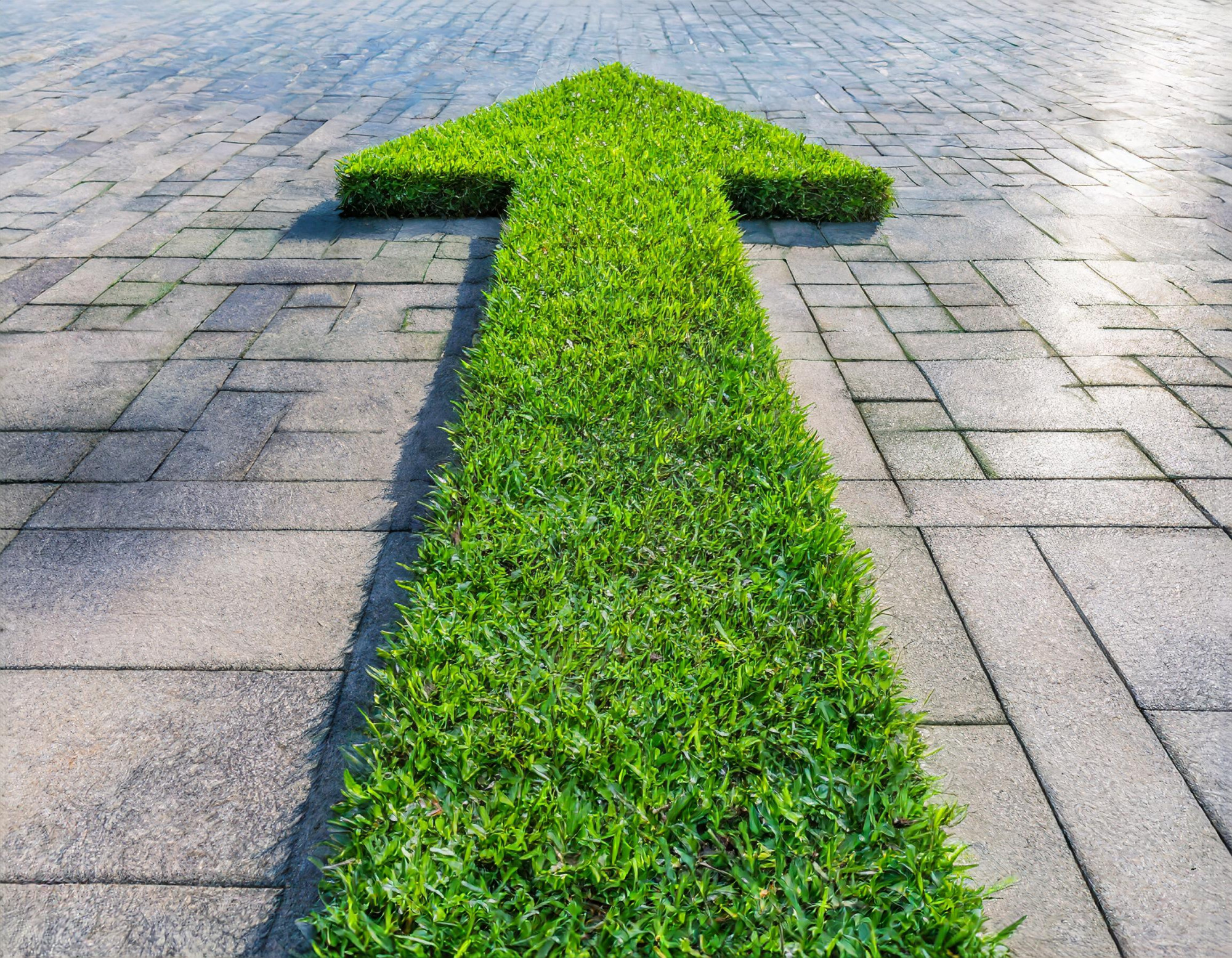 Sustainable Wayfinding: A Catalyst for Change | Mima